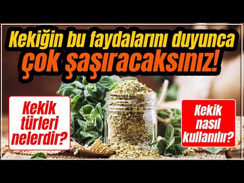 Kekik Nedir? Kekik Türleri Nelerdir? Faydaları Nelerdir?