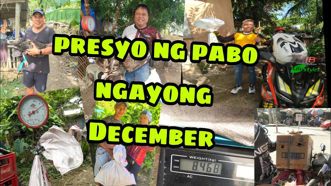 MAGKANO ANG PRESYO NG AKING PABO NGAYONG PASKO AT NEW YEAR,DIKO NAGAMIT ...