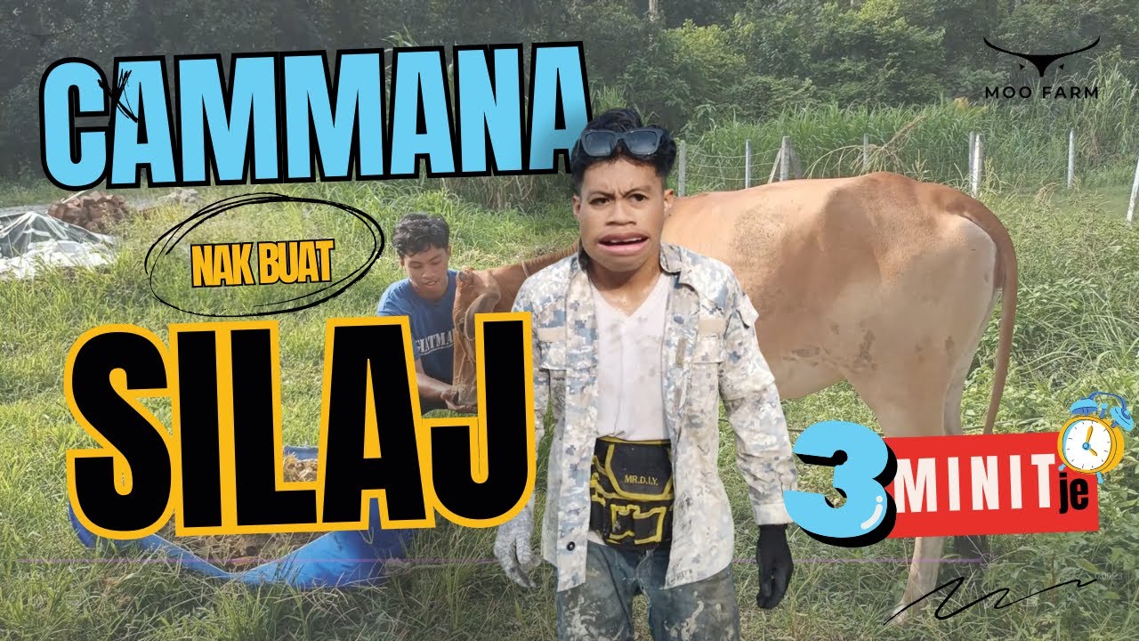 Cara Buat Silaj Napier??? FULL Tutorial A-Z - YouTube