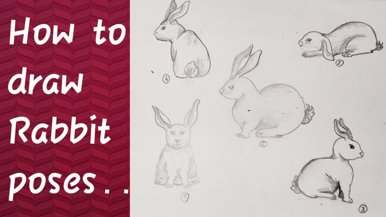 How to make rabbit different poses.. By Draw with Avijit - YouTube