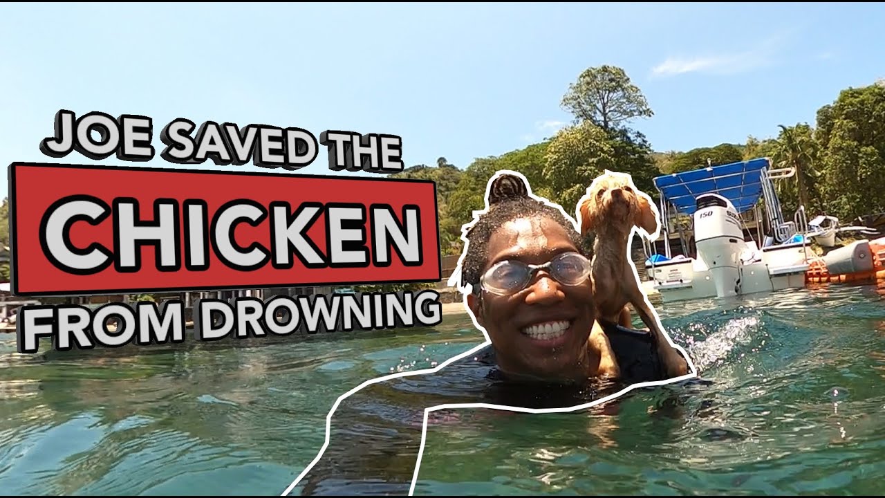 Last Day of Our Beach Life | Saved a chicken from drowning - YouTube