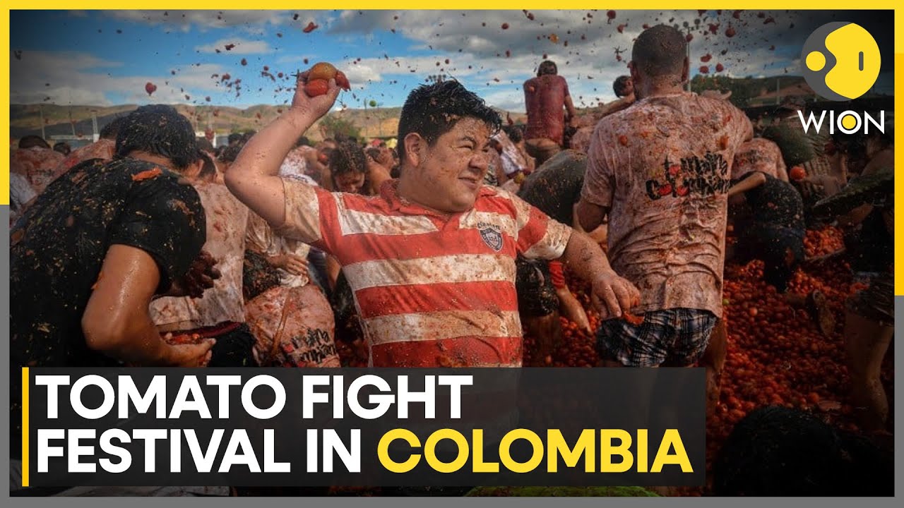 La Tomatina Tomato Throwing Festival in Columbia | WION - YouTube