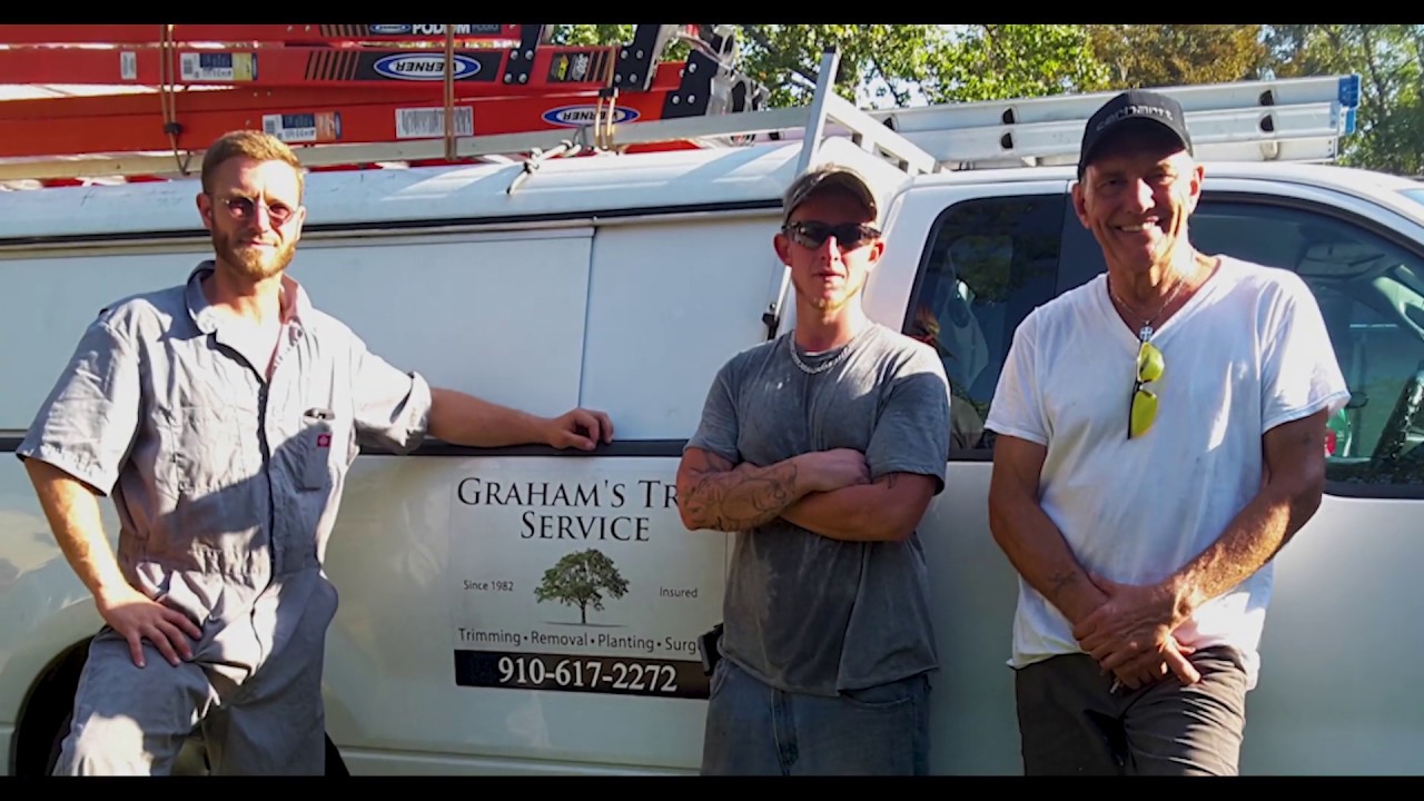 Grahams Tree Cutting Surface Promo - YouTube