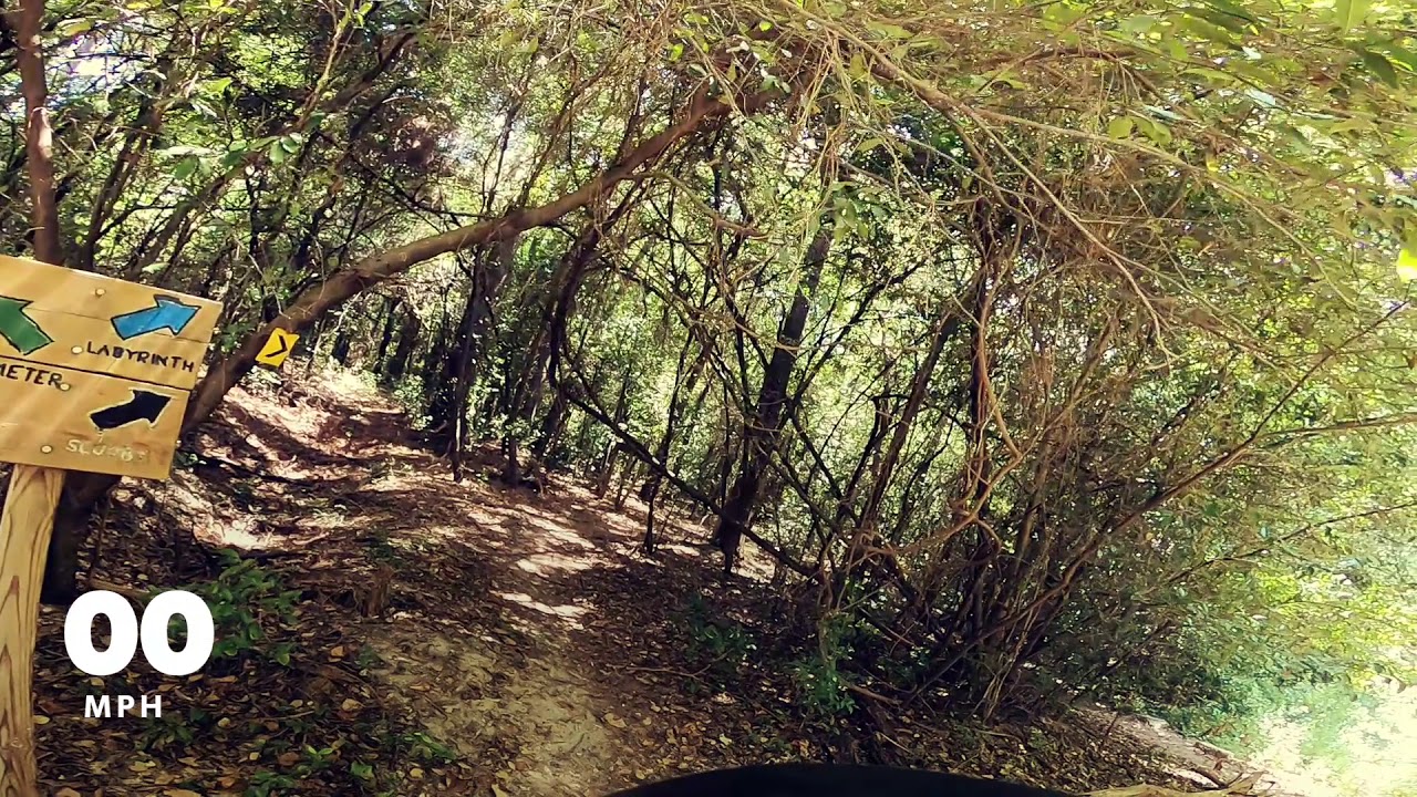 SFA Raider's Trails Take 2 - YouTube