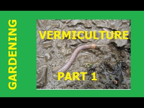LIVESTOCK - Vermiculture part 1 - YouTube
