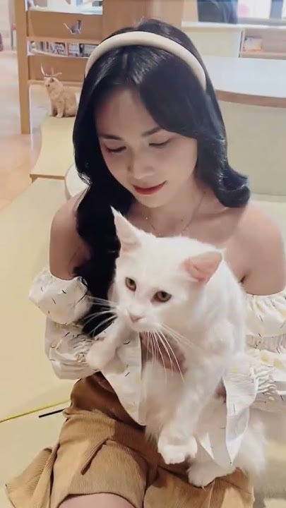kak Gita kalo dah Ama kucing makin lucu sampe anteng banget kucing nya#gitajkt48 #memberjkt48# ...