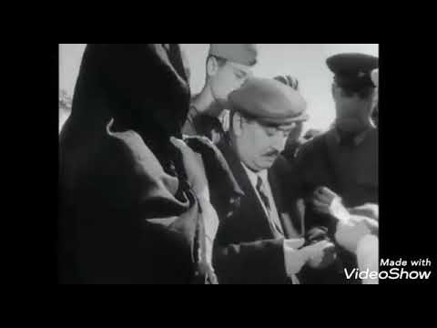 Vatsap status karona virus karantin