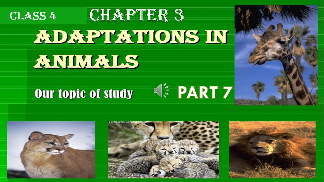 CLASS-4 | CHAPTER-3 | PART-7 | SCIENCE | ADAPTATIONS IN ANIMALS ...