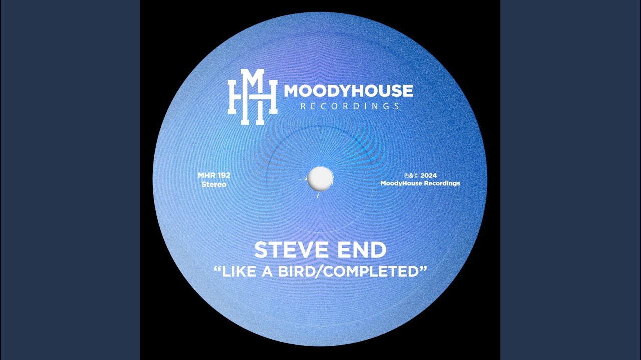 Like a Bird - YouTube