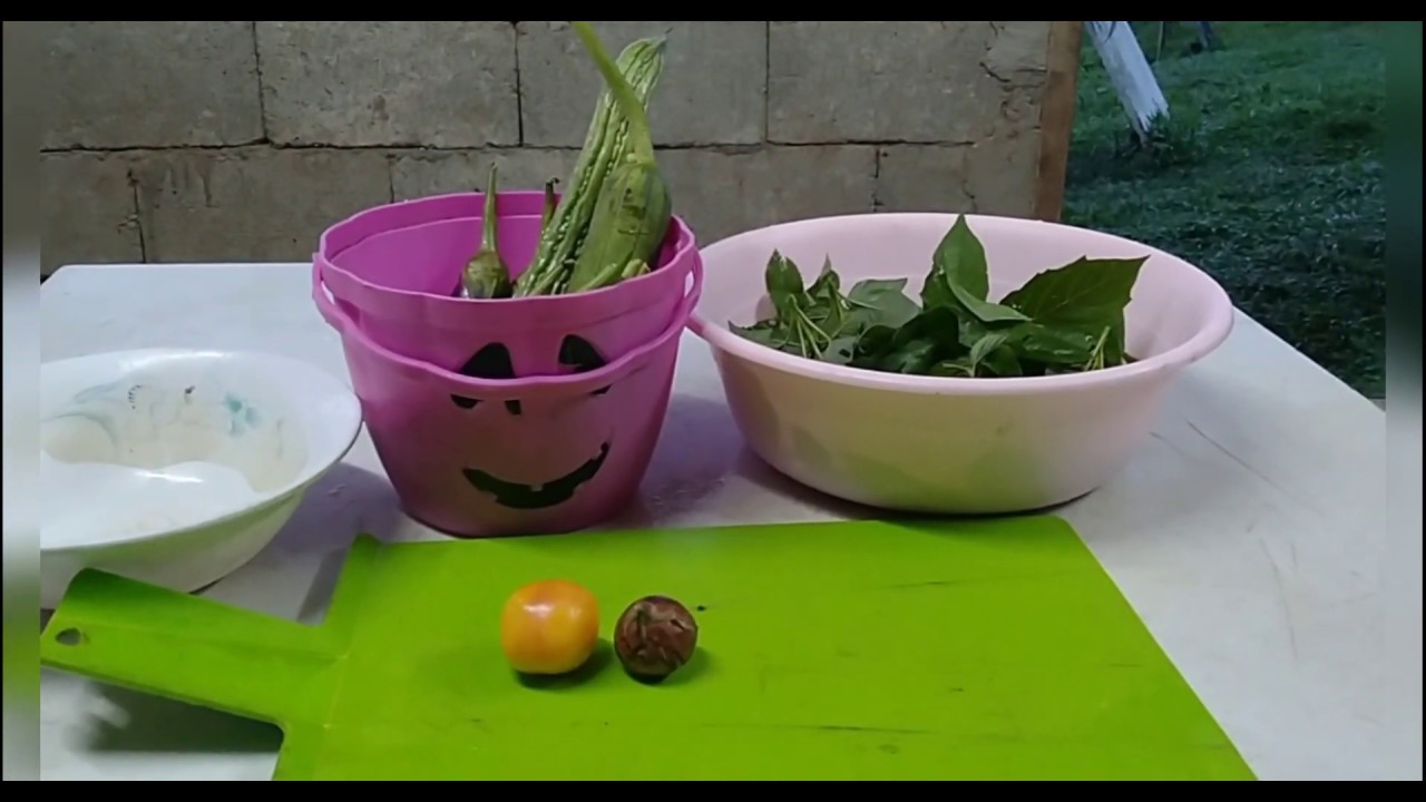 How to cook LASWA! A healthy Ilonggo dish. - YouTube