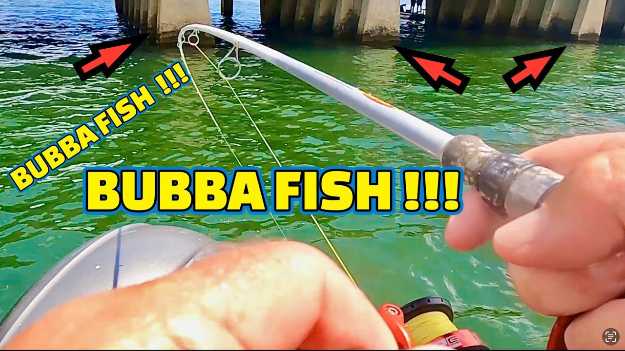 A Deadly FISHING BAIT that CATCHES a BOAT LOAD of FISH !!! - YouTube