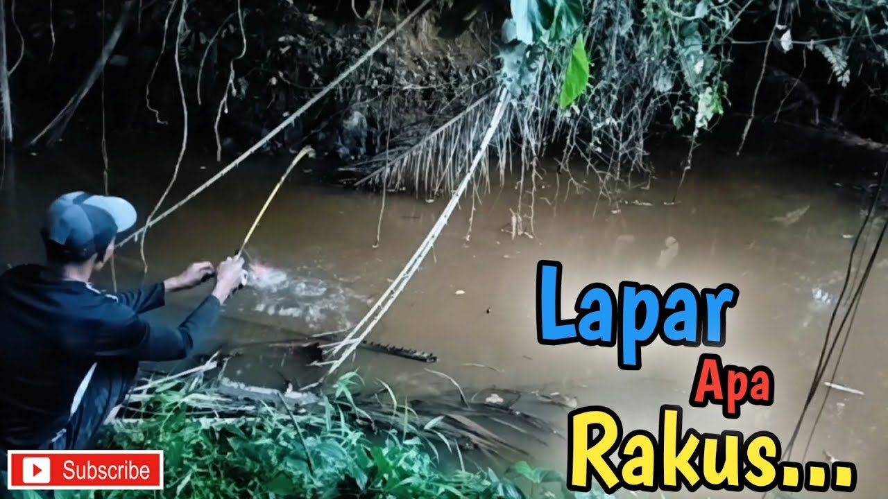 Kelaparan Apa Rakus‼️ Ketika Ikan Di Pinggir Sungai Ini Apes Di Ujung Mata Pancing || Mancing ...
