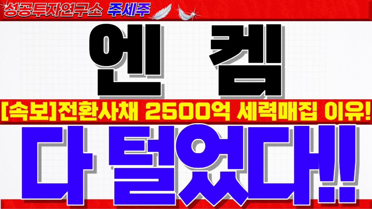 엔켐 주가전망 테슬라 사상 최고가 돌파 전환사채 2500억 핵심이유 신고가 돌파 할수 밖에 없는 이유 엔켐주가