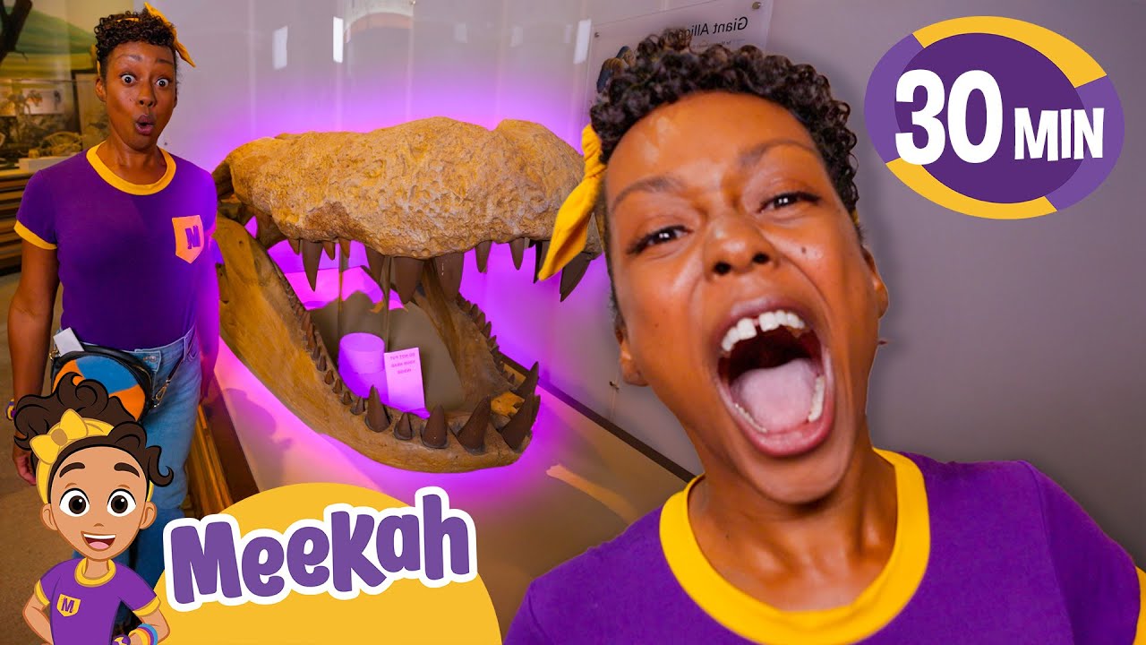 ROARING with REAL LIFE Dinosaur Jaws! | Blippi & Meekah Challenges and ...