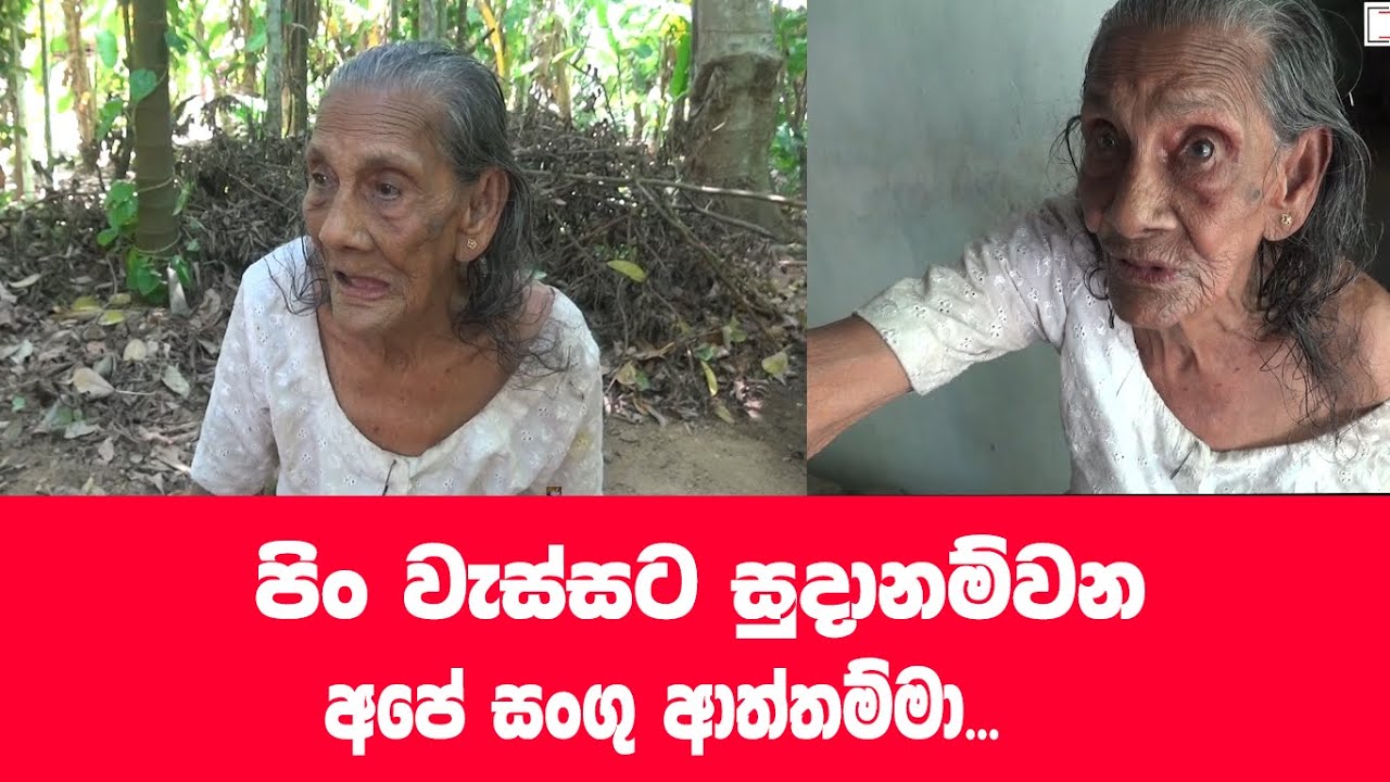 පිං වැස්සට සුදානම්වන සංගු ආත්තම්මා Youtube