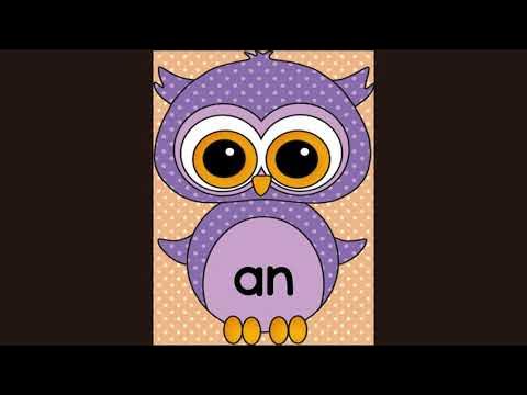 Master Dolch First Grade Sight Words Set 2 Light Purple Owl Flashcards ...