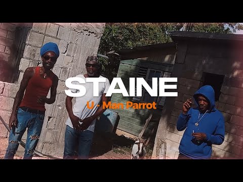 Staine - U Man Parrot ( Official Visual) - YouTube