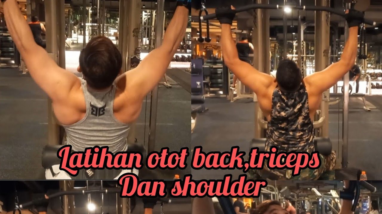 latihan otot back,tricep dan shoulder - YouTube