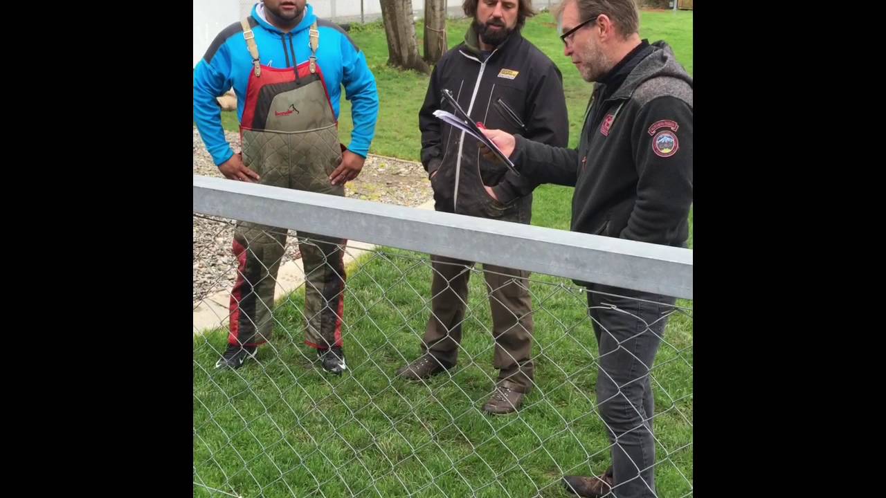 adrk (german rottweiler club) helper license trial - YouTube