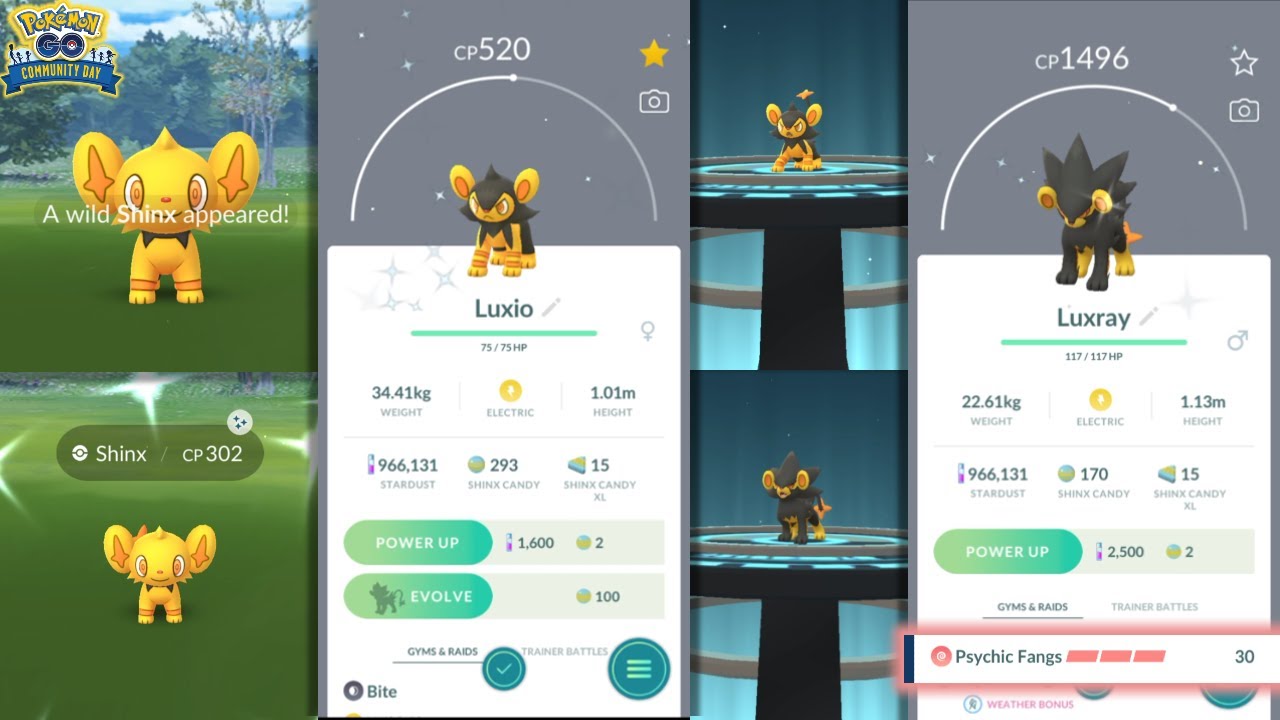 COMPLETING SHINX SHINY FAMILY IN POKEMON GO | NOVEMBER COMM DAY - YouTube