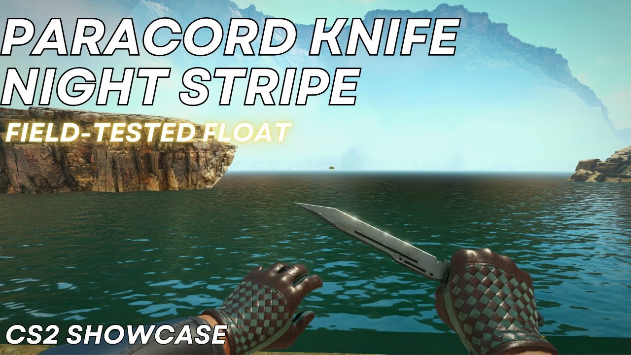Paracord Knife Night Stripe (Field-Tested) | CS2 Skin Showcase #860 ...