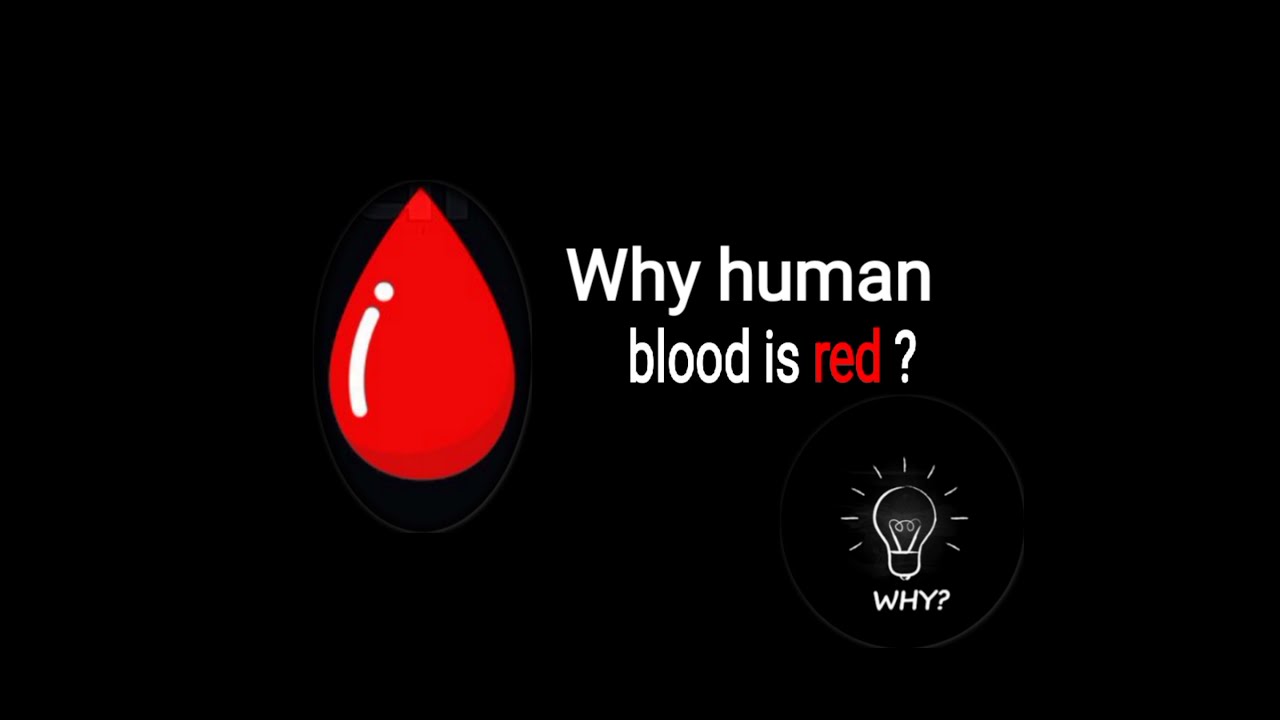 WHY human blood is red ? !! ONE MINUTE KNOWLEDGE !! - YouTube