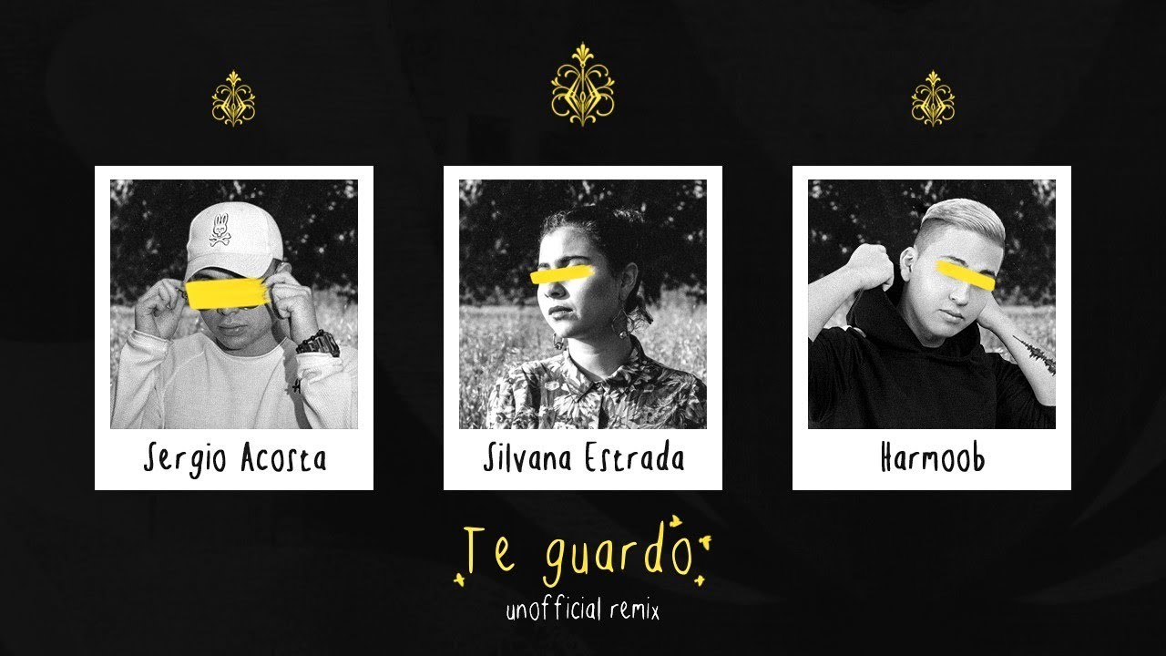 Silvana Estrada - Te Guardo | Harmoob & Sergio Acosta (Unofficial Remix ...