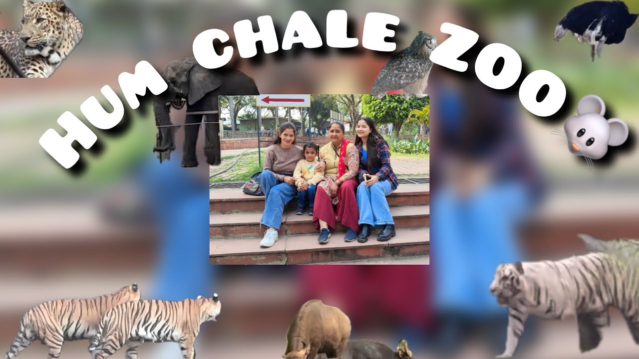 Hum chle ZOO😂🐭 ️ #onthisday #zoo #familyvlog #channel #like #share # ...