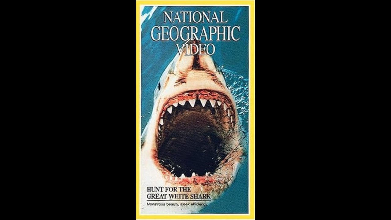 Opening and Closing to Hunt for the Great White Shark VHS (1999) - YouTube