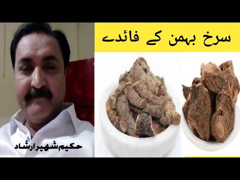 behman surkh ke faide #mehmansurkhkefaide #tibnabvi - YouTube