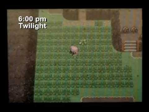 Pokemon Platinum Shiny Patches: Route 228 - YouTube