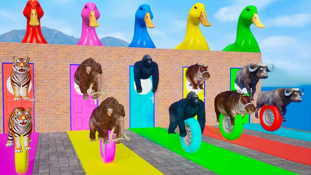 Long Slide Game with Cow Elephant Gorilla Hippopotamus Tiger 3d Animal ...