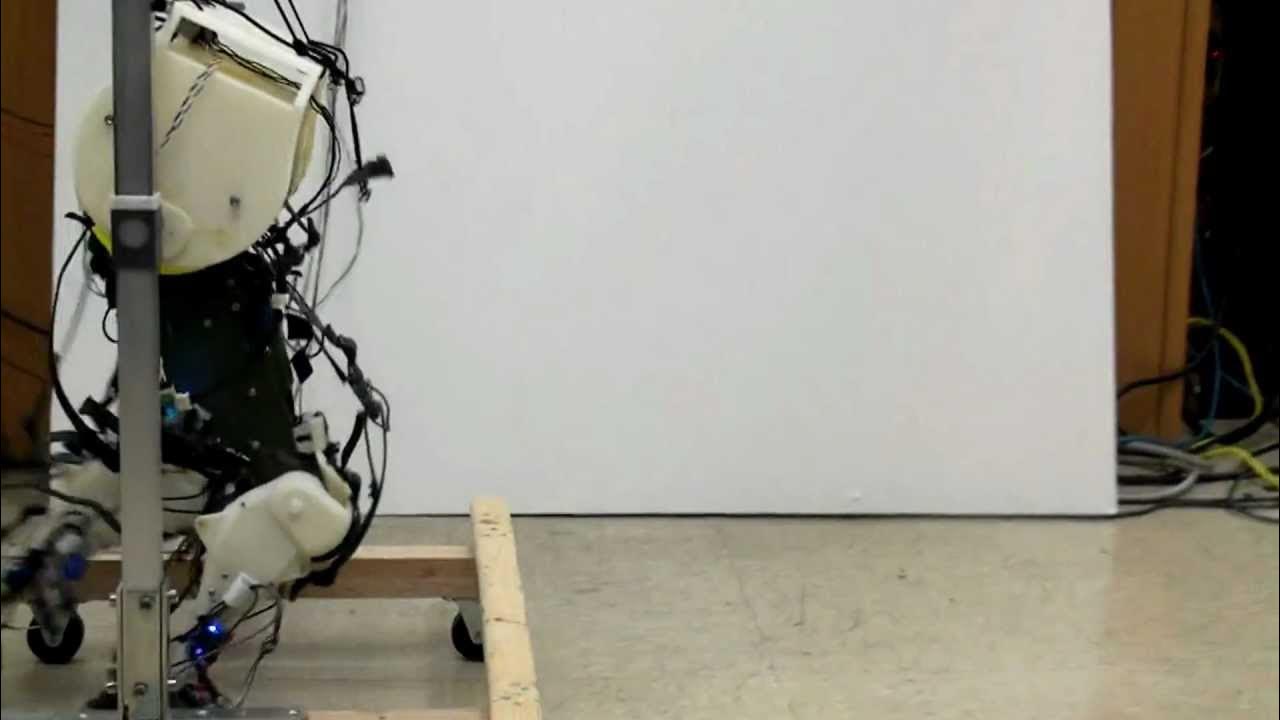 Biologically accurate robot walking legs - YouTube