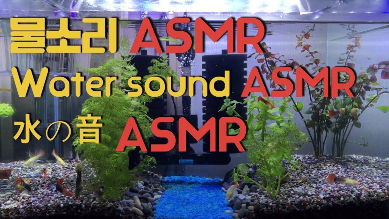 물소리 ASMR (water sound ASMR)sleepASMR, relaxing, Healing, 水の音ASMR - YouTube