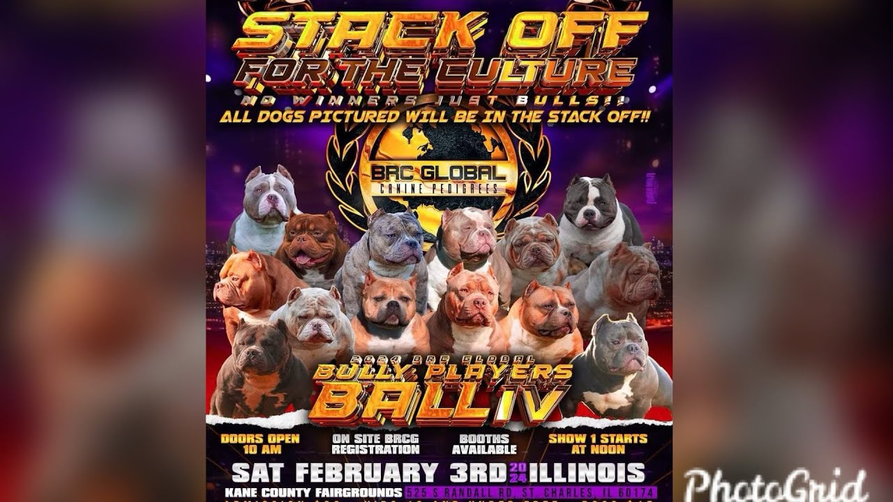 BRC PLAYERS BALL 4 STACK OFF FOR THE CULTURE ‼️ - YouTube