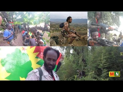 MN: Jajjabee Zoonii Kaaba Oromiyaa Walloo - YouTube