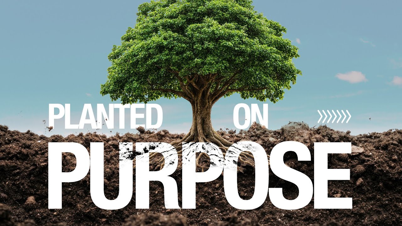 Planted on Purpose - Pastor Ben Sanders - YouTube