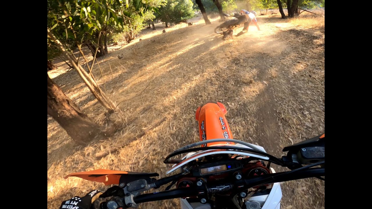 MY FRIEND MEETS A TREE TRUNK | KTM EXC 300 + BETA 250RR - YouTube