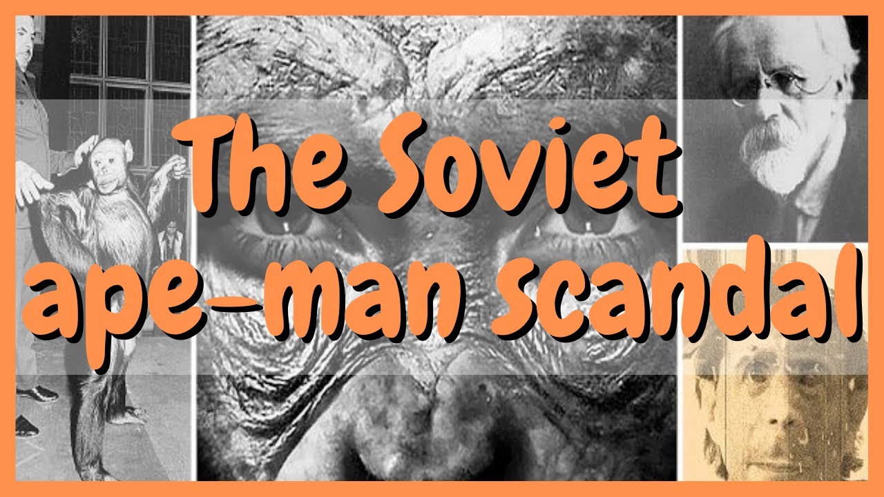 Five women offered to carry half ape babies in the interests of science ...
