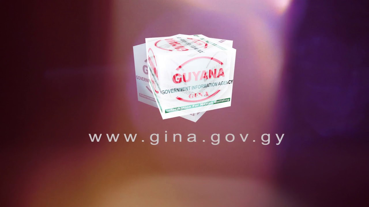 GINA LOGO REVEAL final1 - YouTube
