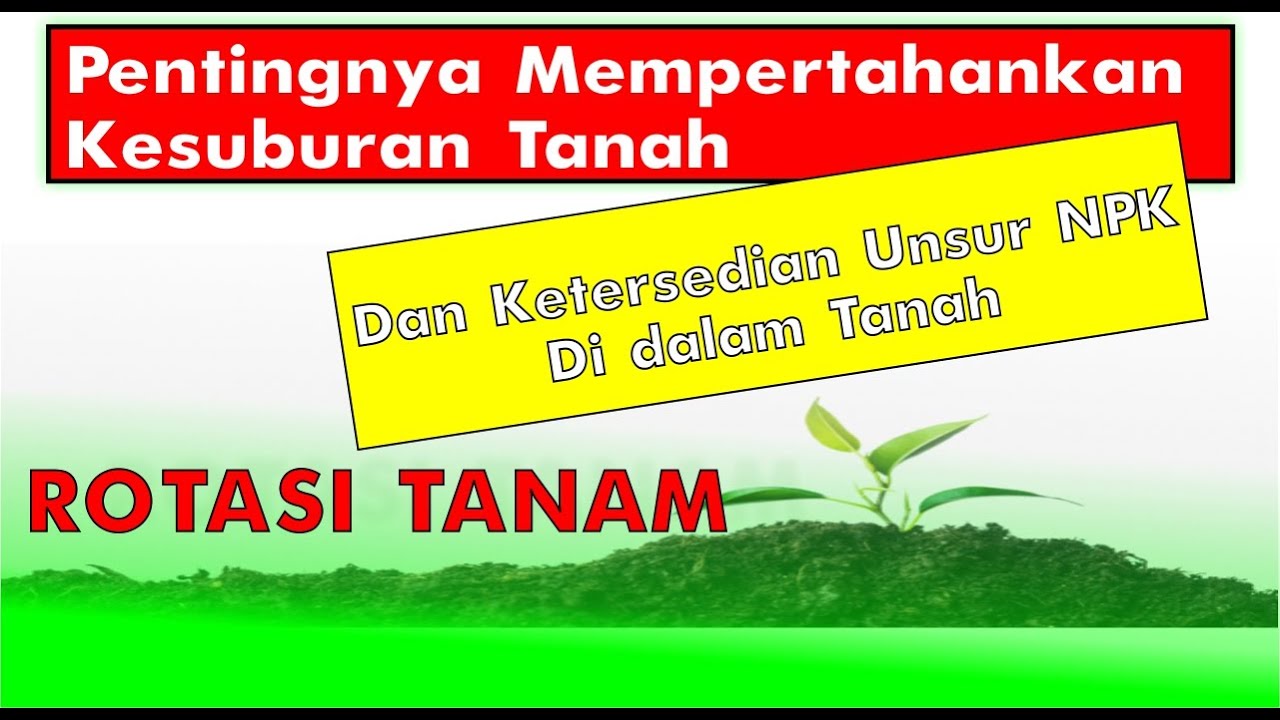 ROTASI TANAM Penting, Untuk Mempertahankan Kesuburan Tanah dan ...