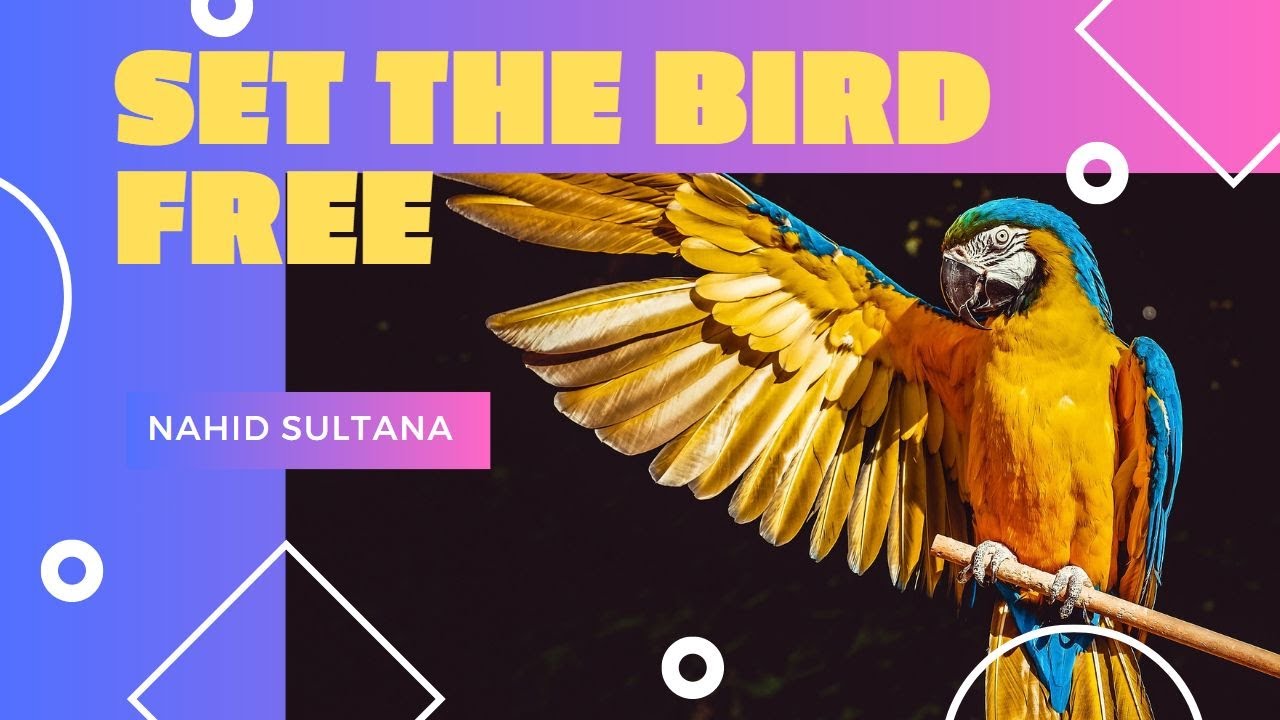 Set The Bird Free - YouTube