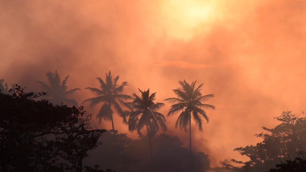 CHRIS SYNNOTT SURFING PUERTO RICO 2020 - YouTube