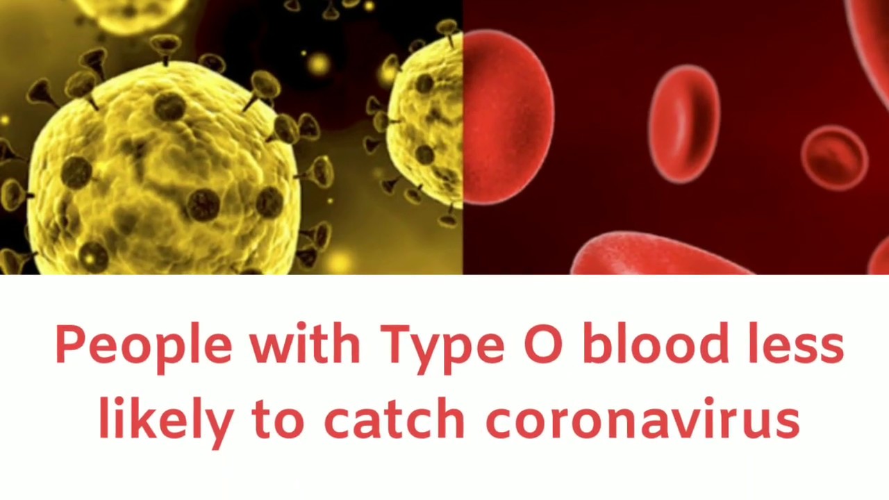 Signs of having typ o blood - klimcp