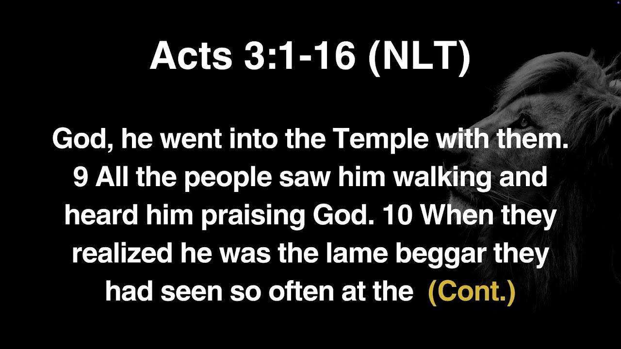 Calvary Chapel Arise Live Stream - YouTube