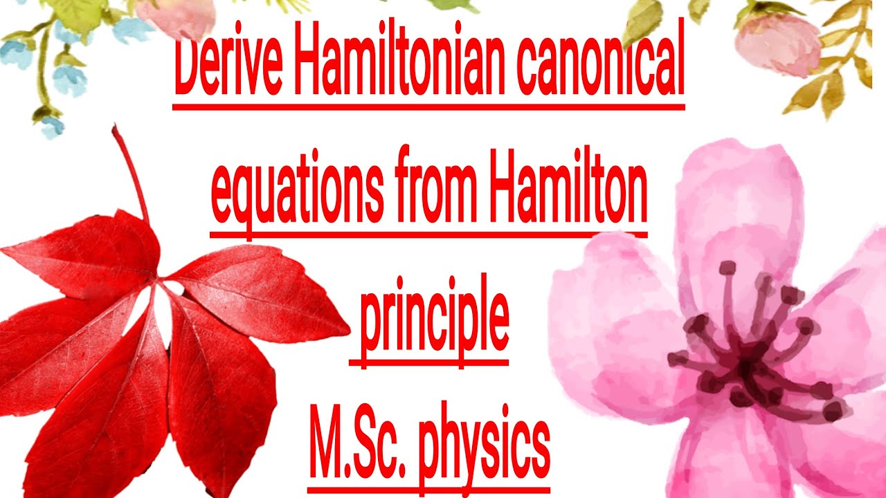 Derive Hamiltonian canonical equations from Hamilton variational ...