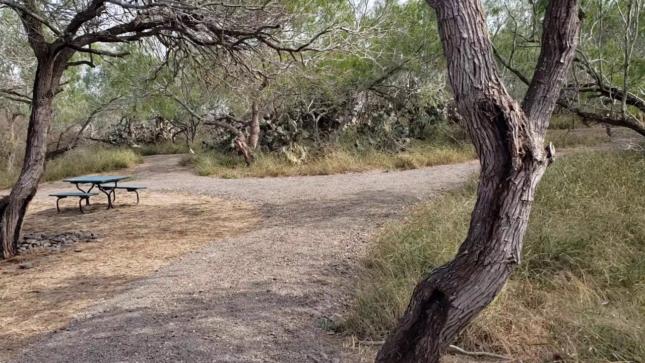 Sunday morning walk 🚶‍♂️ in Delta Lake Park in Monte Alto, Texas. - YouTube