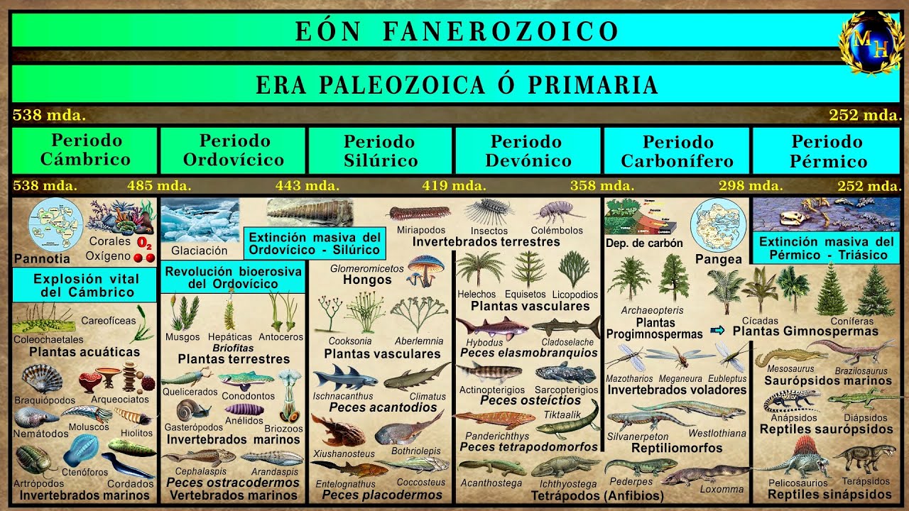 Las Eras Geológicas 3. La Era Paleozoica - YouTube