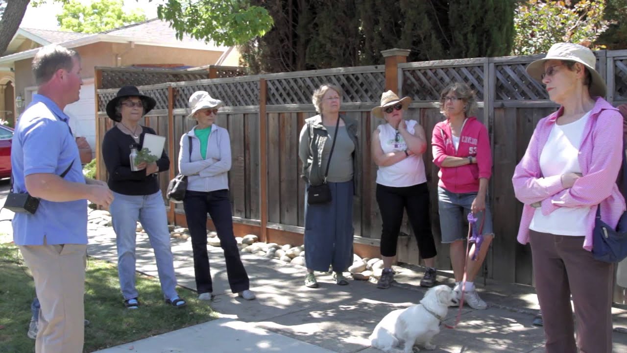 Redwood City Tree Walks - YouTube