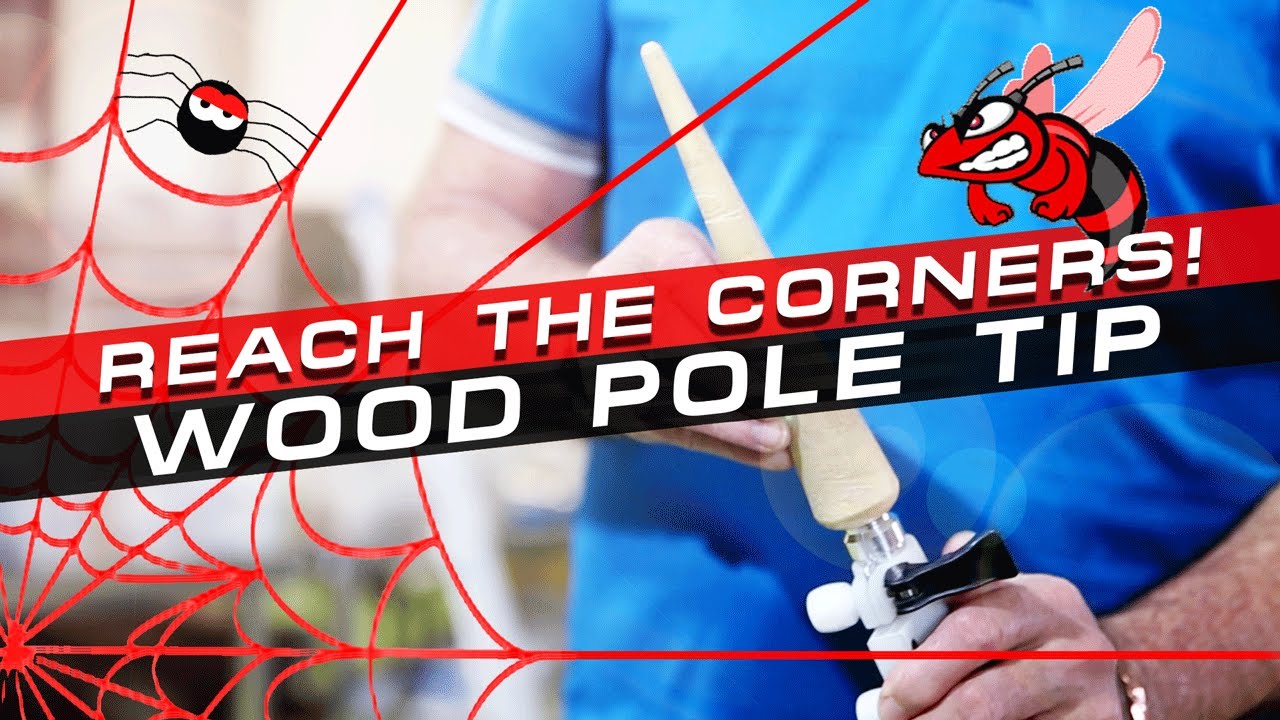 SPIDER NESTS & DIRT DOBBERS! - YouTube